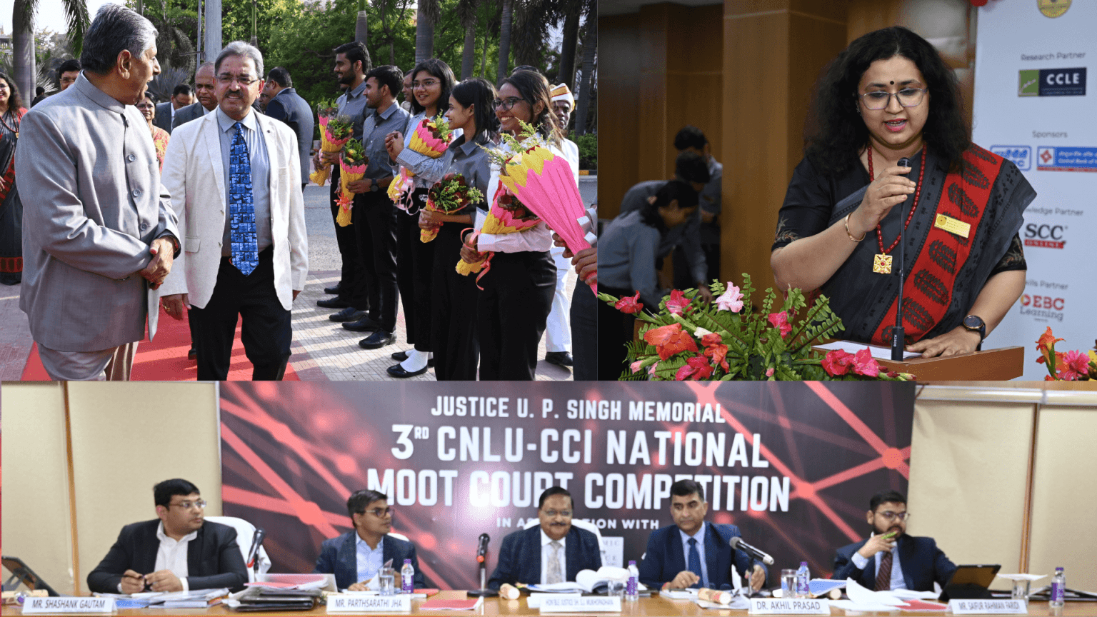 Chanakya National Law University